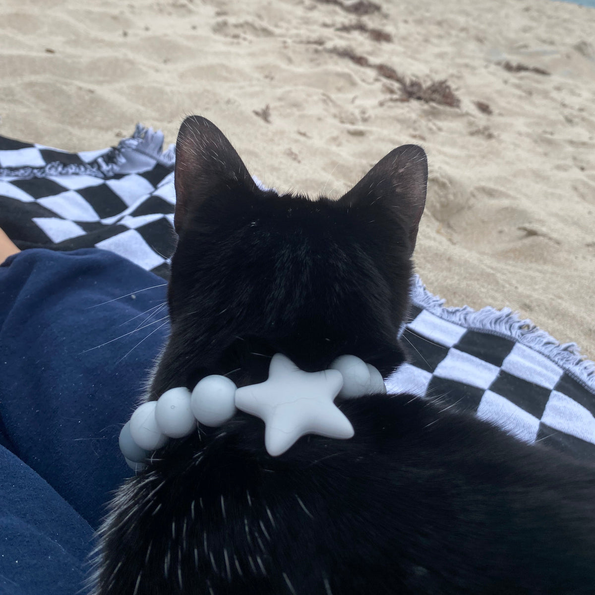 Star Silicone Collar – CatCo