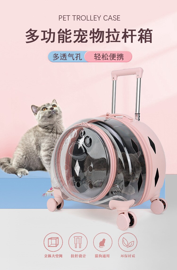 Cat Trolley Suitcase with Wheels – CatCo