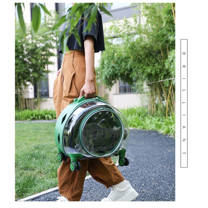 Cat Trolley Suitcase with Wheels – CatCo