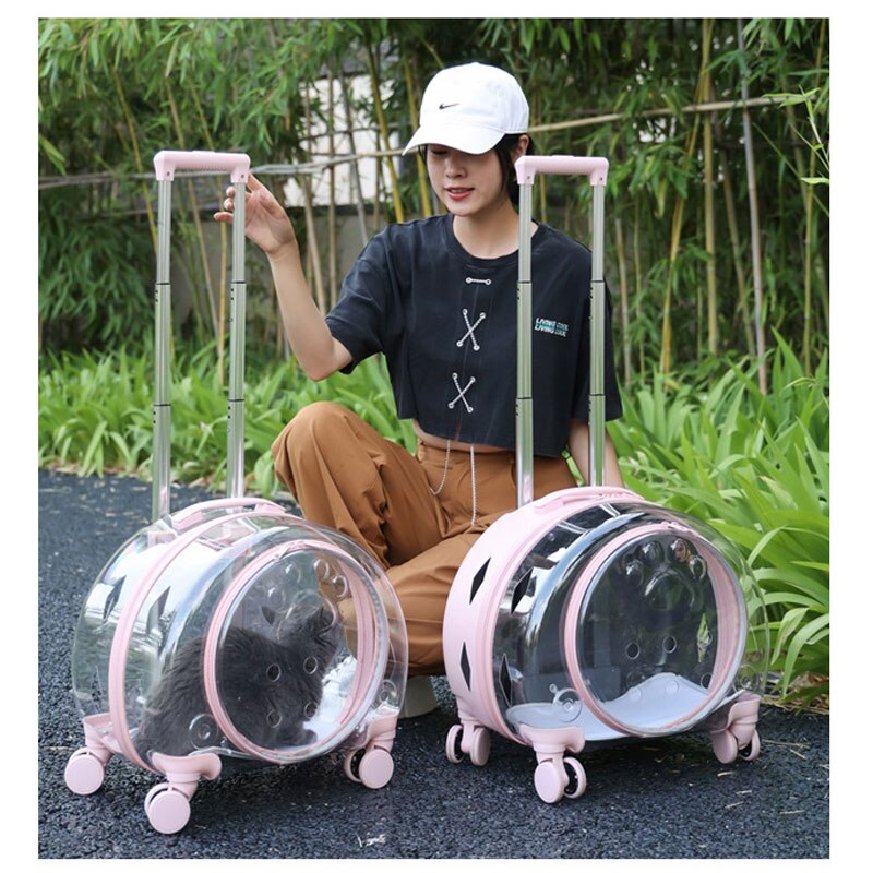 Cat Trolley Suitcase with Wheels – CatCo