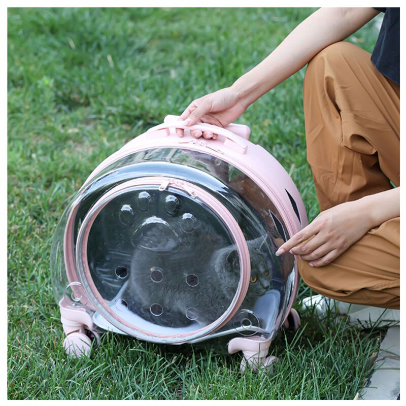 Cat Trolley Suitcase with Wheels – CatCo